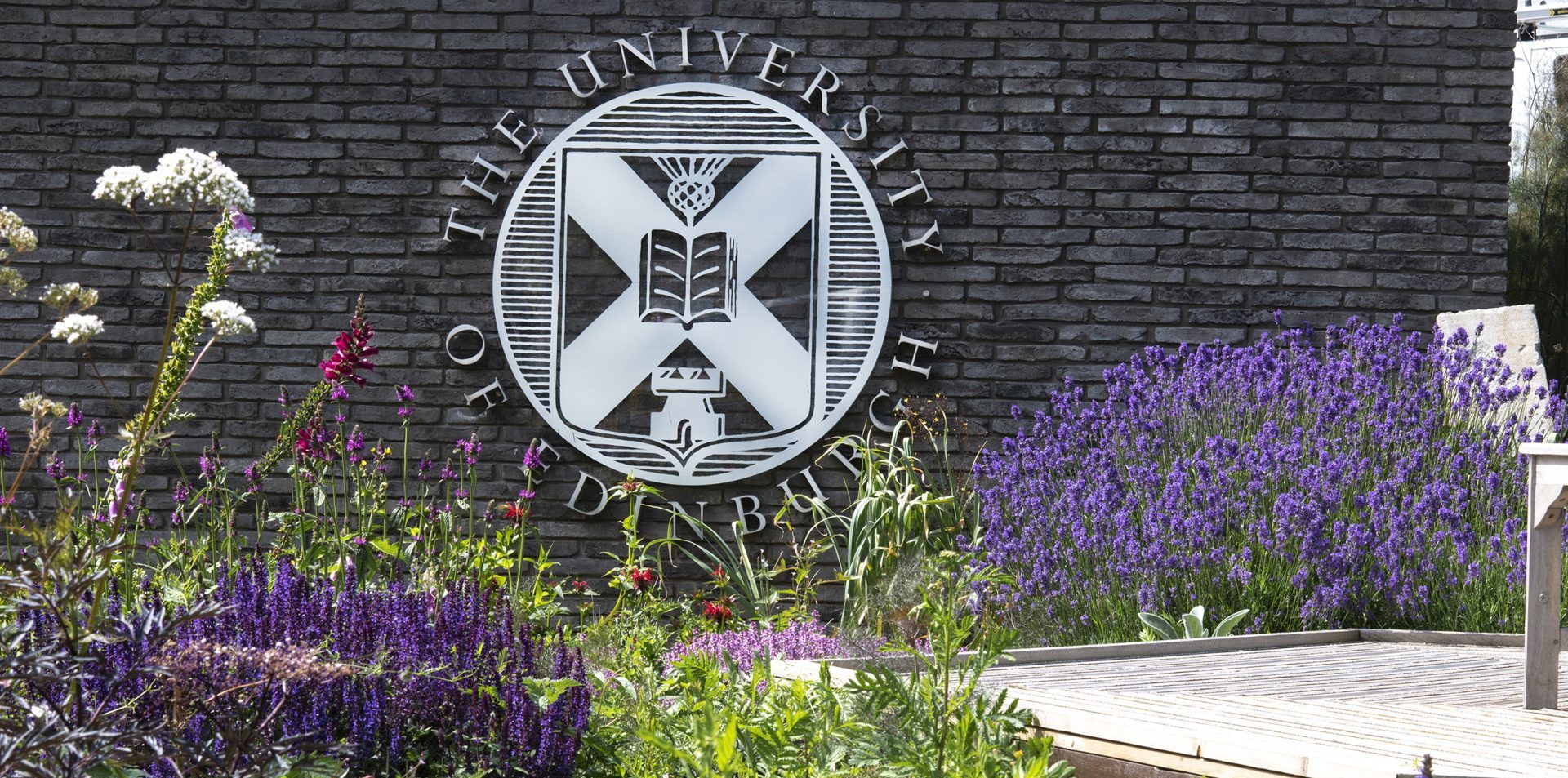 The University of Edinburgh’s College of Medicine and Veterinary ...